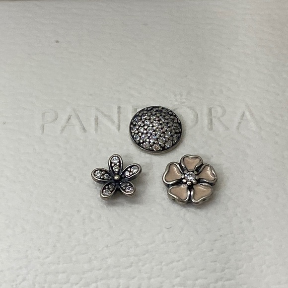Pandora | Jewelry | New Pandora Silver Floating Locket Petites Charm ...